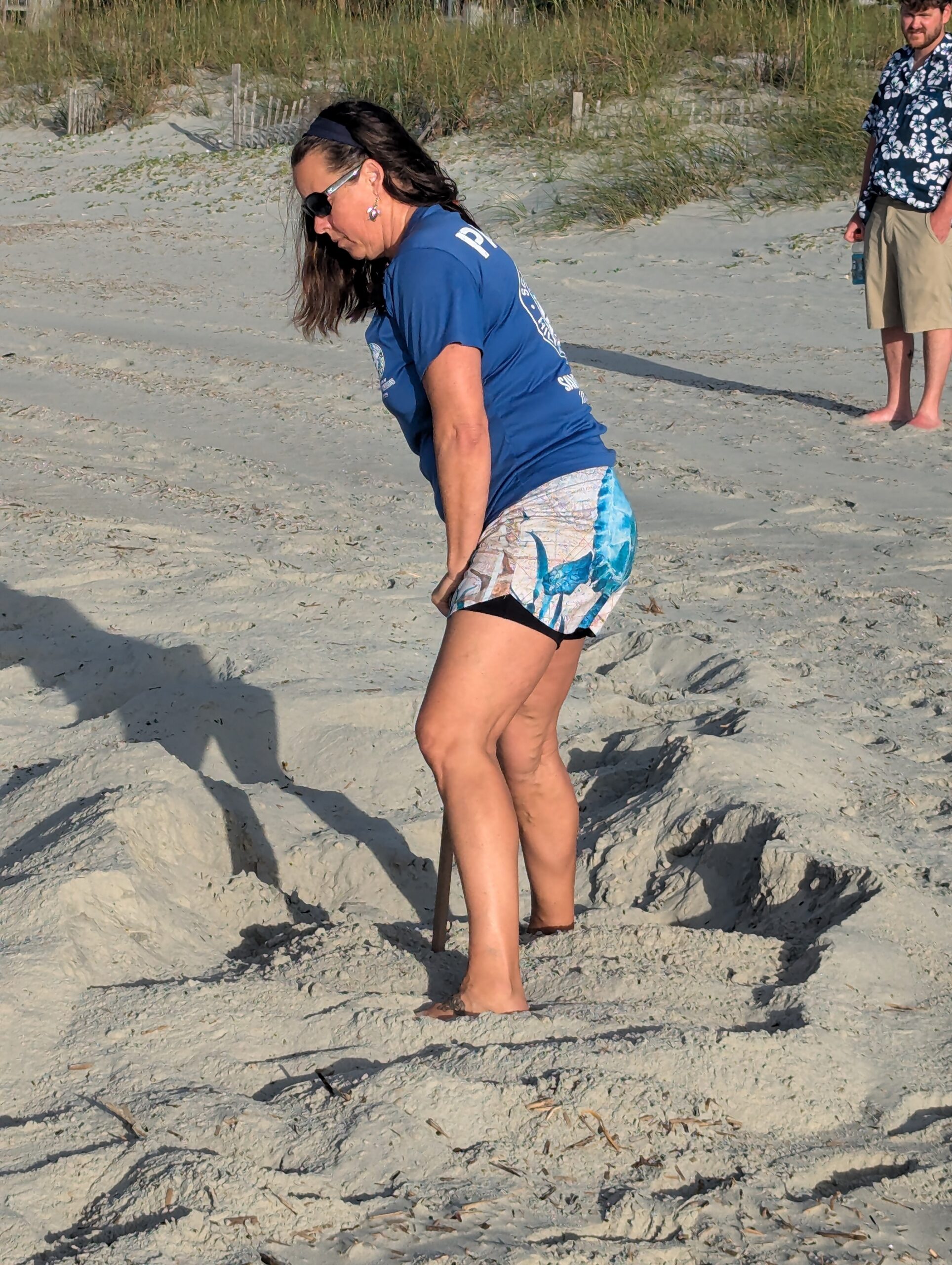 Nest Photos – Sea Turtle Patrol HHI