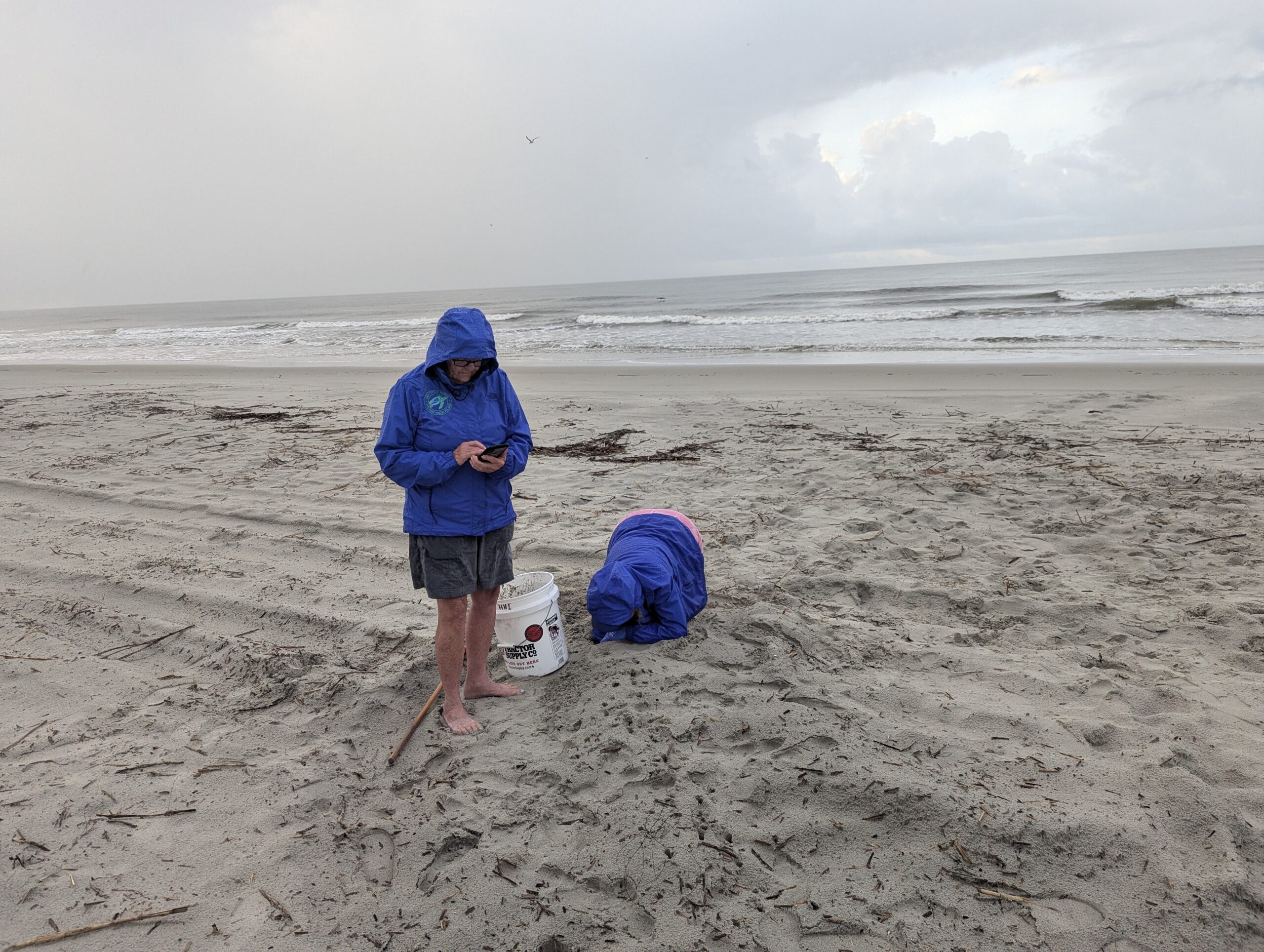 Nest Photos – Sea Turtle Patrol HHI