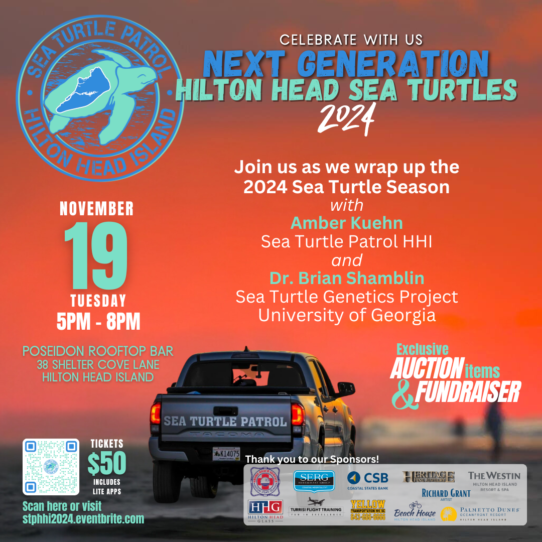 Sea Turtle Patrol HHI