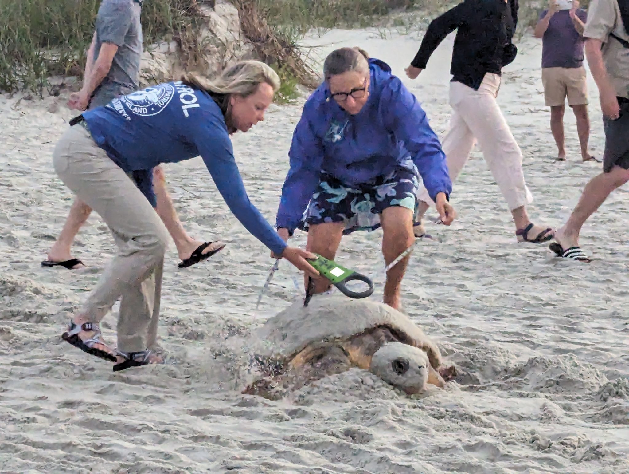 Donate - Sea Turtle Patrol Hilton Head Island