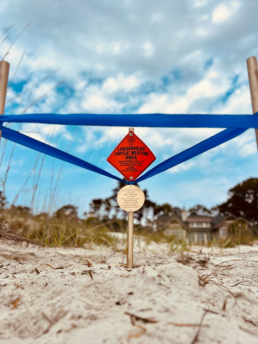 WSAV | Sea Turtle Patrol HHI marks first nest of season with dedication.
